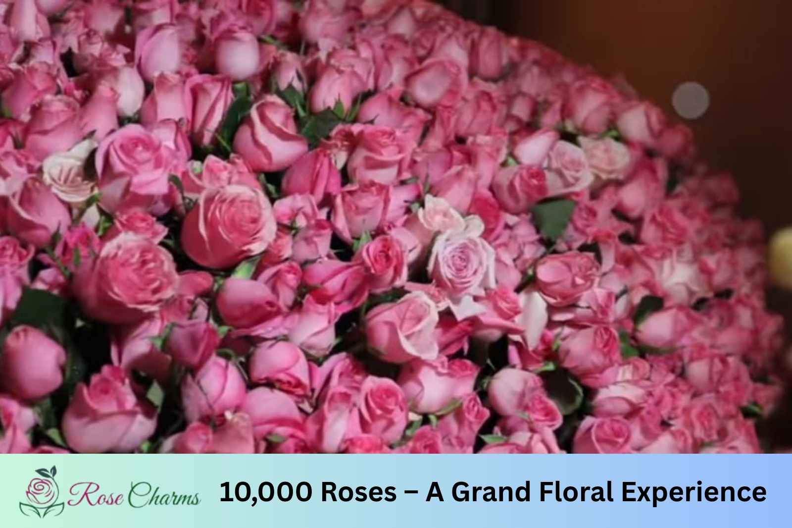 Creating Magic with 10,000 Roses – The Making of a Grand Floral Setup